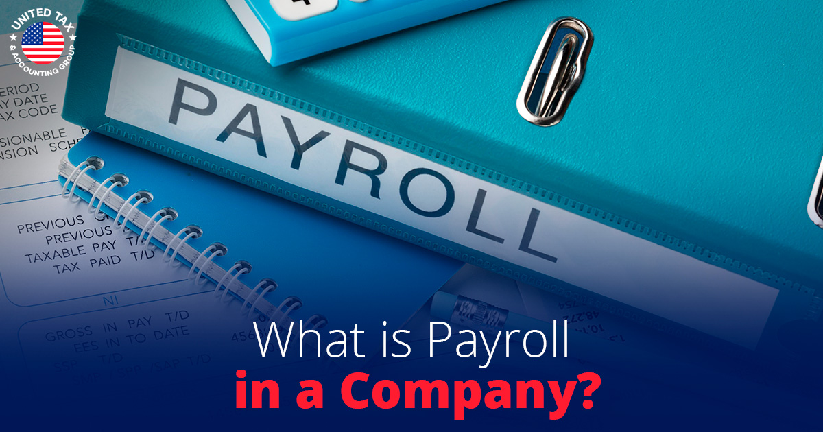 What Is Payroll in a Company?